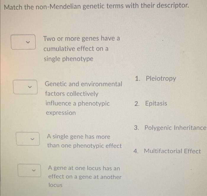 Solved Match the non-Mendelian genetic terms with their | Chegg.com