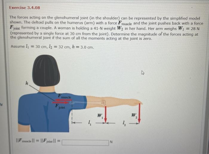 Solved Exercise 3.4.08 The forces acting on the glenohumeral | Chegg.com