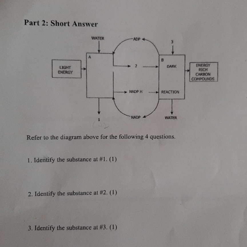 Solved Part 2: Short Answer WATER -ADP 3 DARK LIGHT ENERGY | Chegg.com