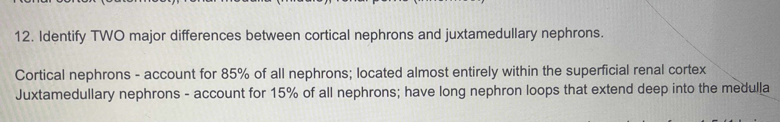 Solved Identify TWO major differences between cortical | Chegg.com