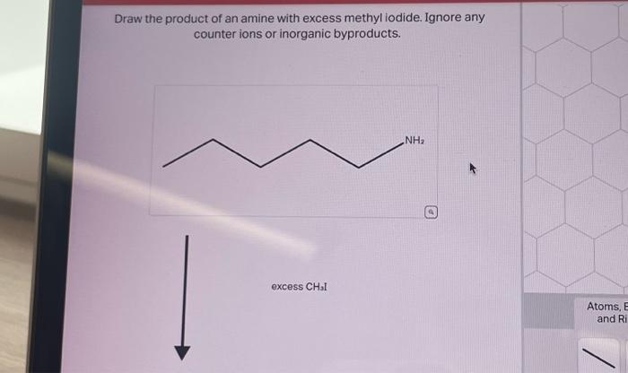 Solved Draw the product of an amine with excess methyl | Chegg.com