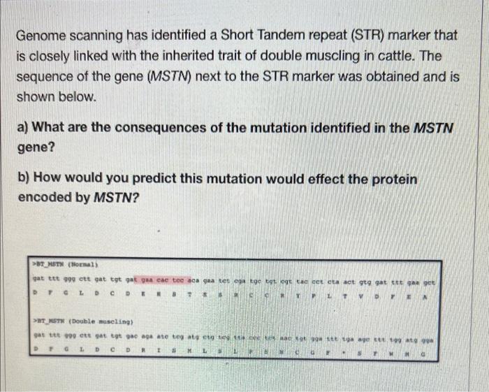 Solved Genome scanning has identified a Short Tandem repeat | Chegg.com