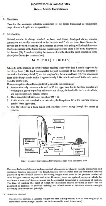 Solved BIOMECHANICS LABORATORY Skeletal Muscle Biomechanies | Chegg.com
