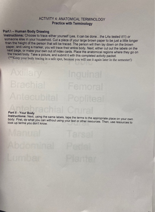 ACTIVITY 4: ANATOMICAL TERMINOLOGY Practice with | Chegg.com