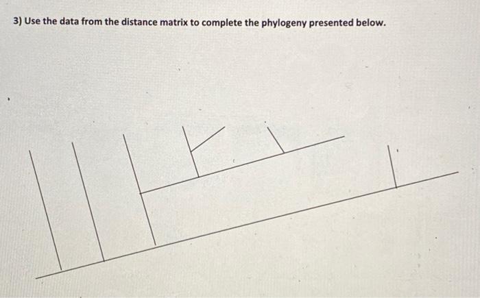 Solved 3) Use the data from the distance matrix to complete | Chegg.com