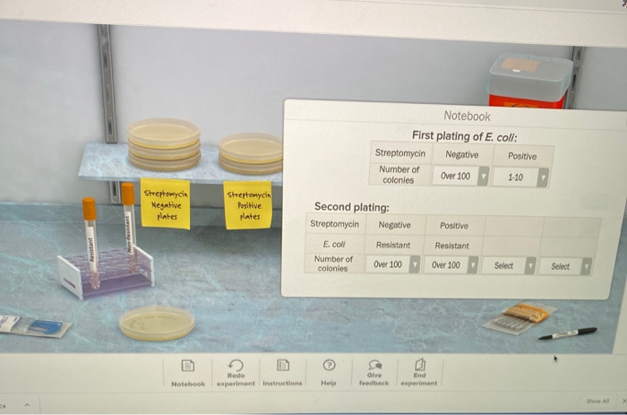 Notebook First plating of E. coli: Streptomycin | Chegg.com