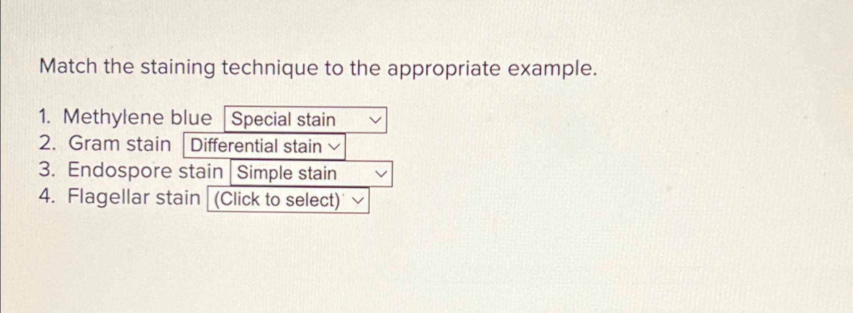 Solved Match the staining technique to the appropriate | Chegg.com