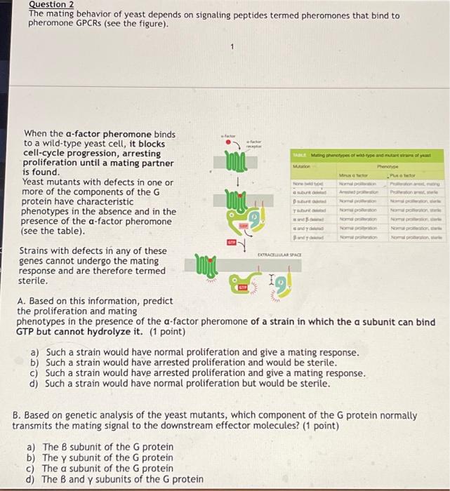 Solved Question 2 The mating behavior of yeast depends on | Chegg.com