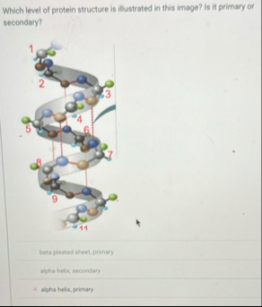 Solved Which level of protein structure is illustrated in | Chegg.com