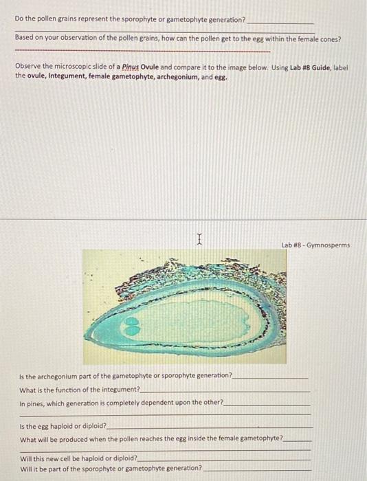 Lab Procedures and Data Table #1: Phylum Cycadophyta | Chegg.com