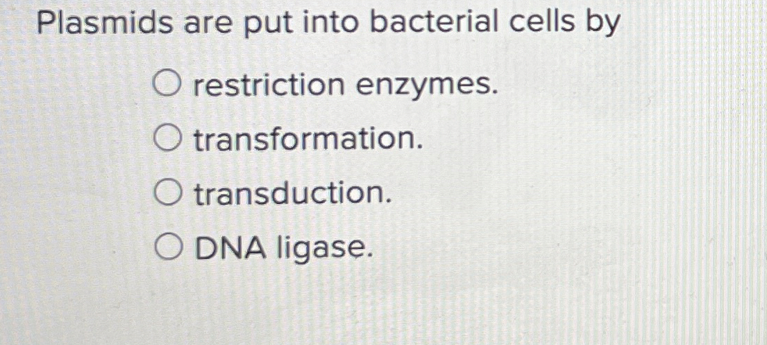 Solved Plasmids are put into bacterial cells byrestriction | Chegg.com