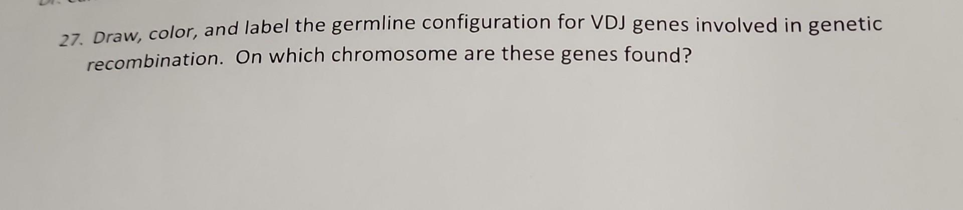Solved 27. Draw, color, and label the germline configuration | Chegg.com