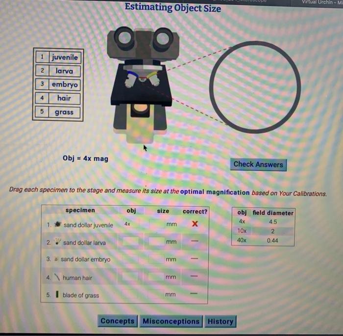 Solved Virtual Urchin - Mi Estimating Object Size 2 1 | Chegg.com