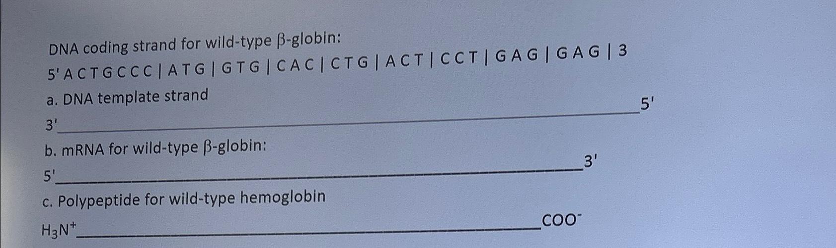 Solved DNA coding strand for wild-type β-globin:a. ﻿DNA | Chegg.com