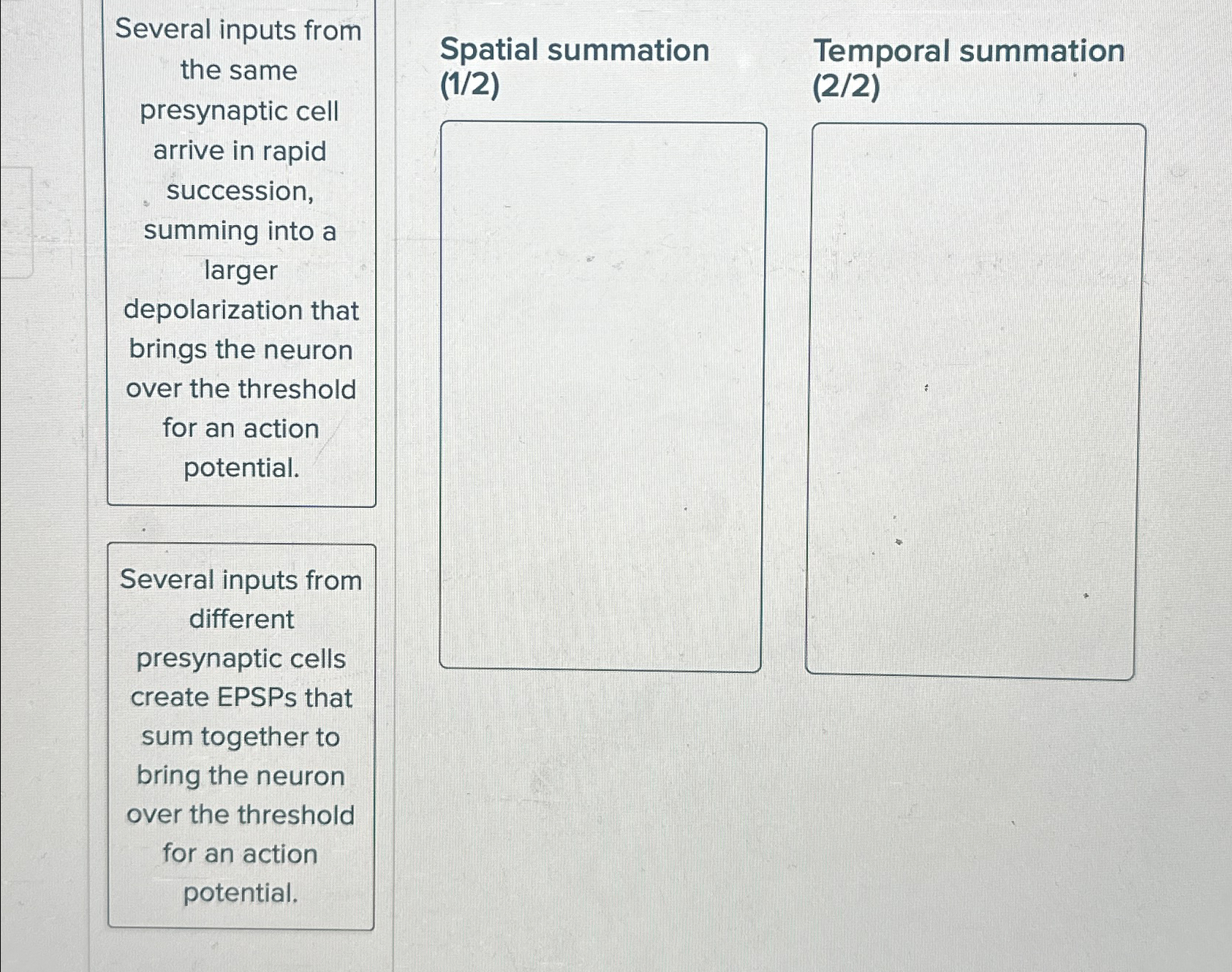 Solved Several inputs from the same presynaptic cell arrive | Chegg.com