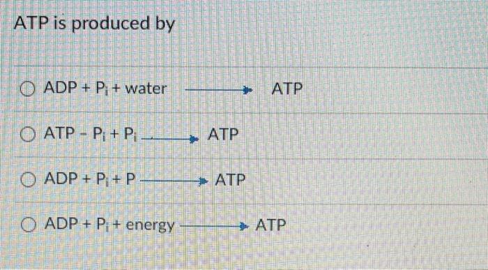 Solved ATP is produced by ADP +Pi+ water | Chegg.com