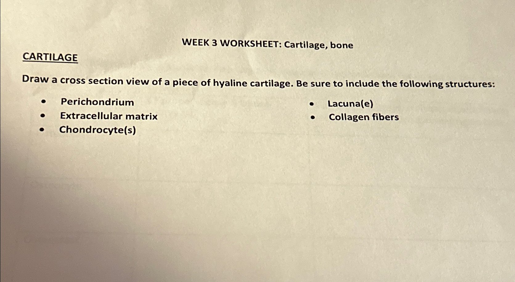 Solved WEEK 3 ﻿WORKSHEET: Cartilage, boneCARTILAGEDraw a | Chegg.com