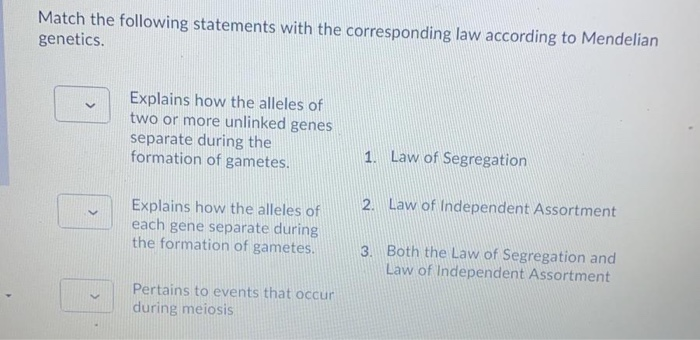 Solved Mendel developed a model to explain the 3:1 | Chegg.com