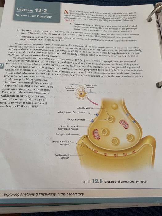 Procedure 1 Model Inventory for Parts of the Synapse | Chegg.com