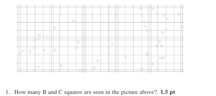 How many B ﻿and C ﻿squares are seen in the picture | Chegg.com