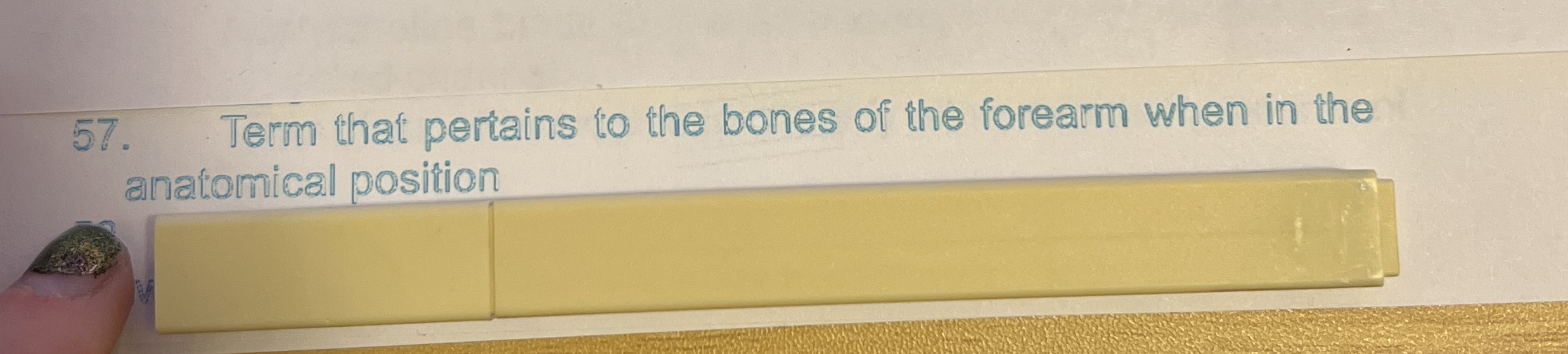 Solved Term that pertains to the bones of the forearm when | Chegg.com