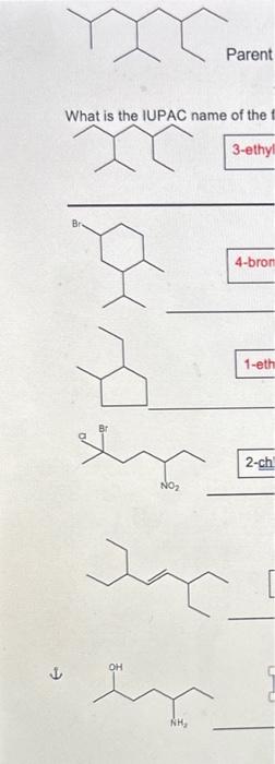 Solved What is the IUPAC name of the following compounds? | Chegg.com