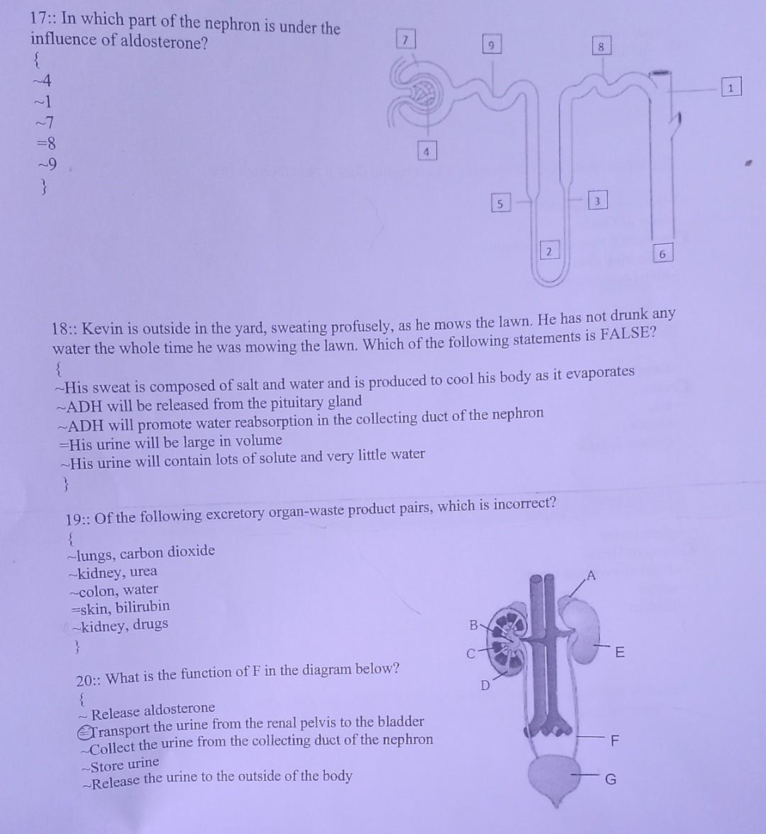 Solved 17:: In which part of the nephron is under the | Chegg.com