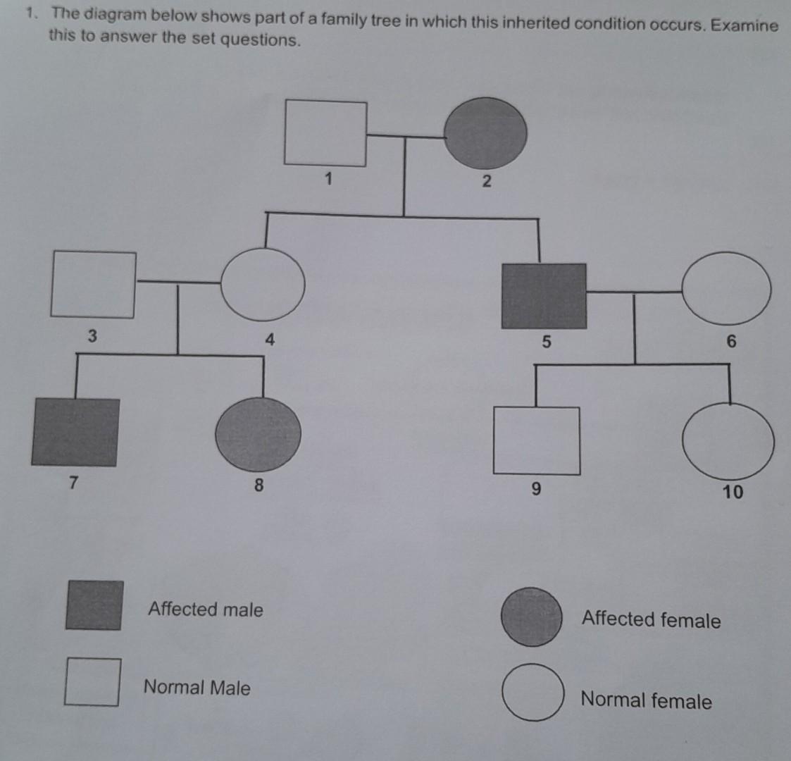 Solved 1. The diagram below shows part of a family tree in | Chegg.com