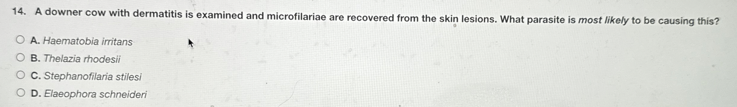 Solved A downer cow with dermatitis is examined and | Chegg.com