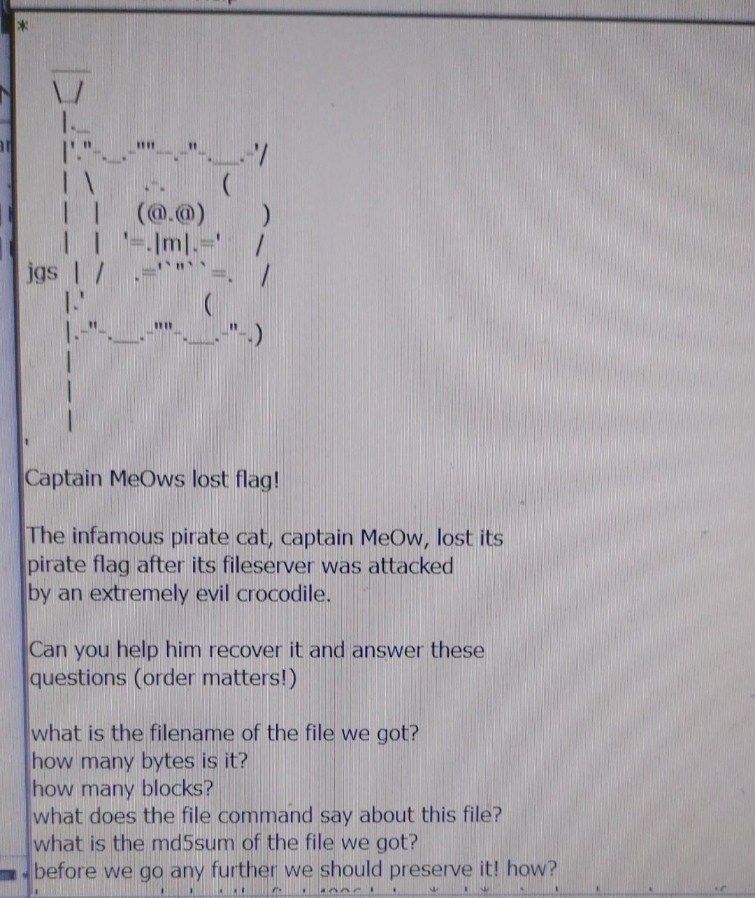 Captain MeOws lost flag! The infamous pirate cat, | Chegg.com