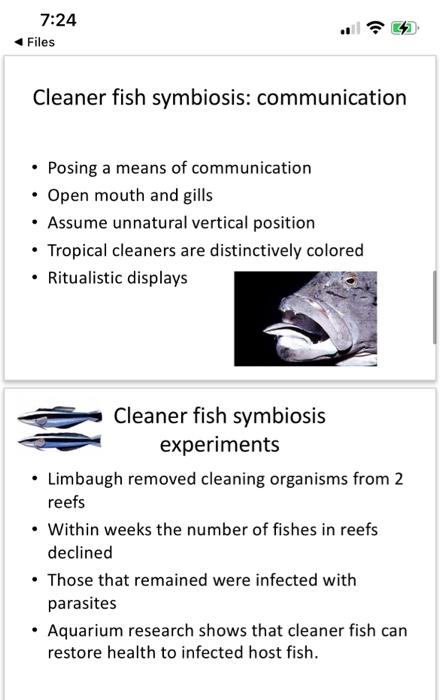 Solved Question 38 (10 points) Use the cleaner fish-client | Chegg.com