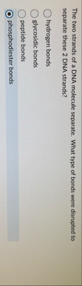 Solved The two strands of a DNA molecule separate. What type | Chegg.com