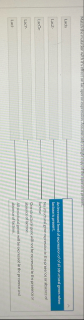 Solved Match the mutation with it's effect on lac operon | Chegg.com