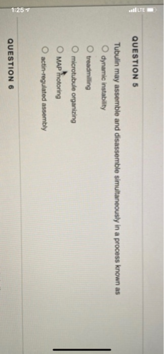 Solved IlUE QUESTION 5 Tubulin may assemble and disassemble | Chegg.com