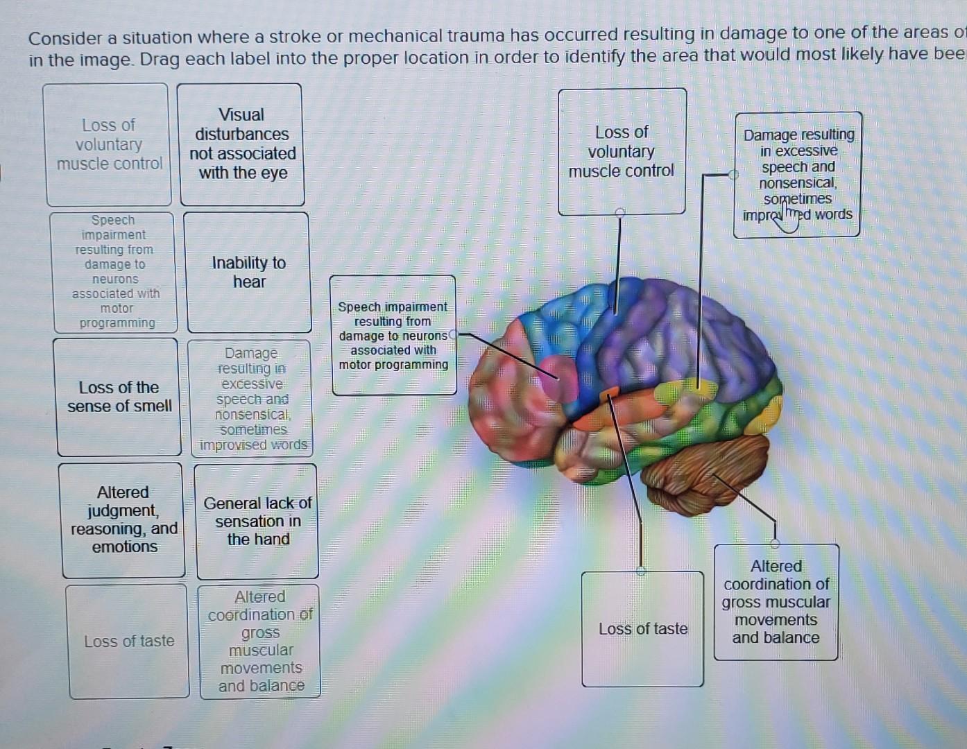 Solved Consider a situation where a stroke or mechanical | Chegg.com