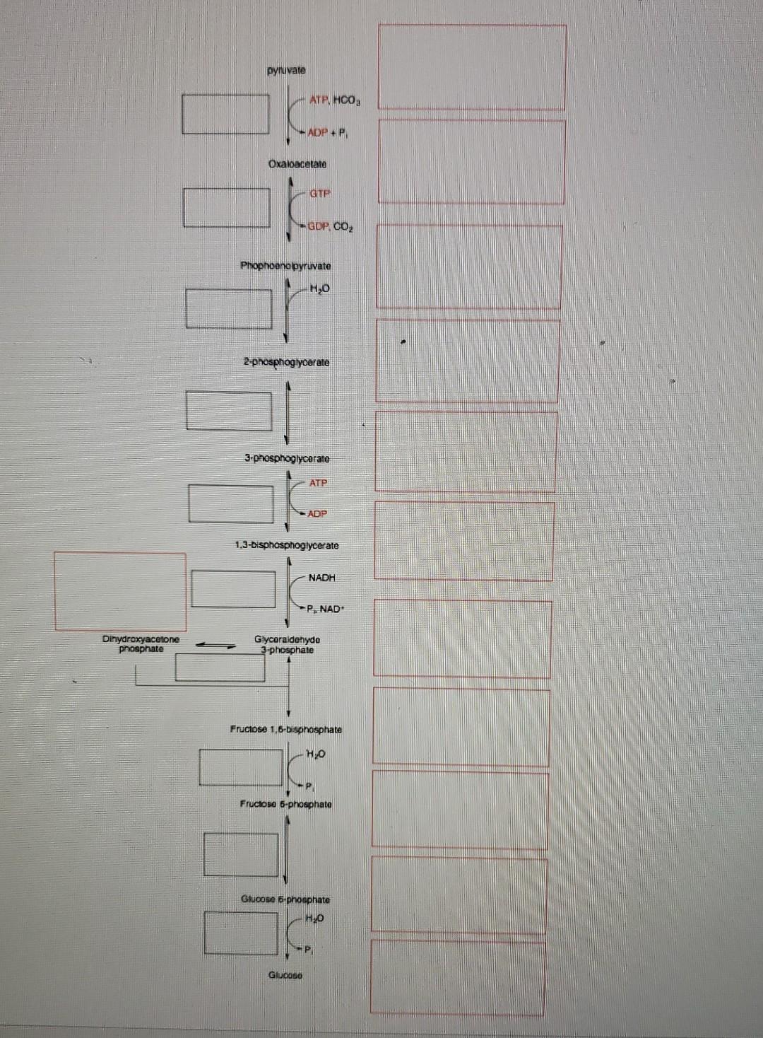Solved Basic Concepts Worksheet 4.2 Description: | Chegg.com