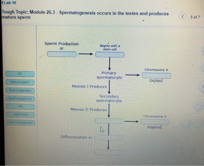 Solved Question | Chegg.com