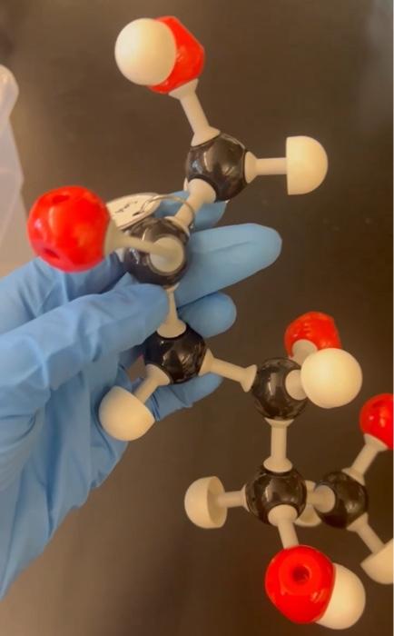 Name these structures. | Chegg.com