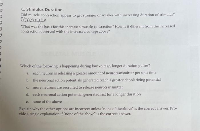 Solved C. Stimulus Duration Did muscle contraction appear to | Chegg.com