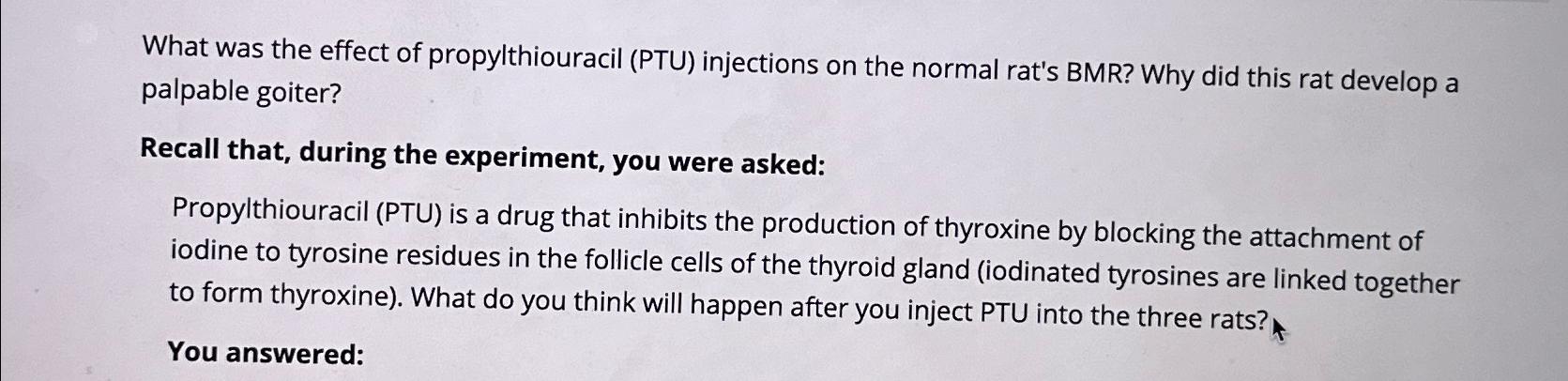 Solved What was the effect of propylthiouracil (PTU) | Chegg.com