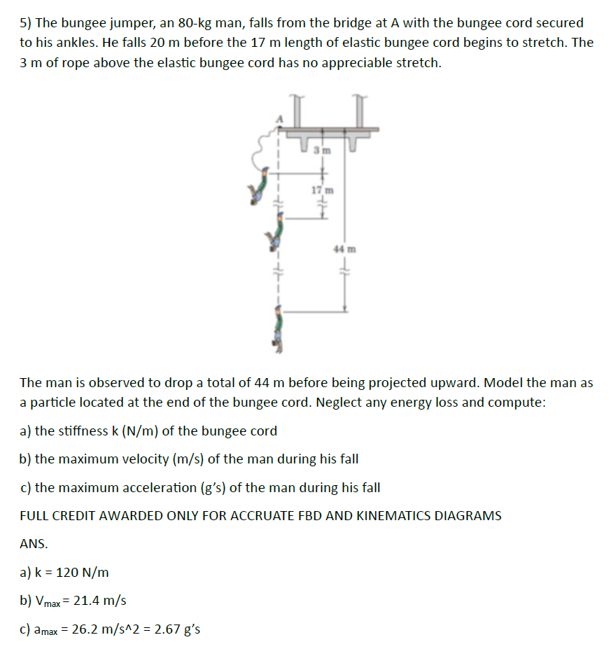 Solved The bungee jumper, an 80-kg ﻿man, falls from the | Chegg.com