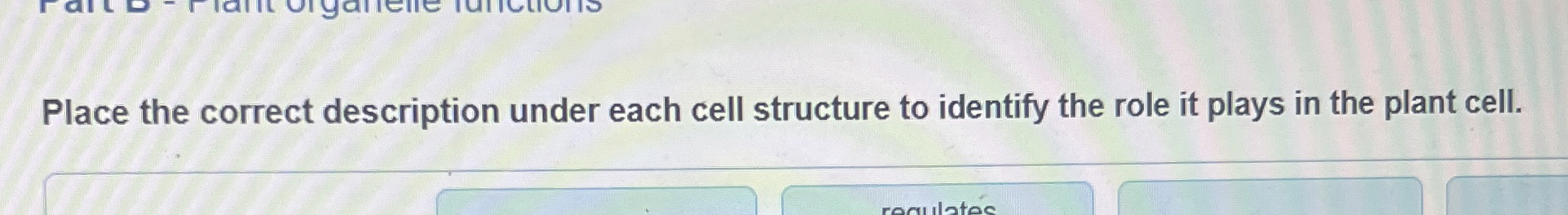 Solved Place the correct description under each cell | Chegg.com