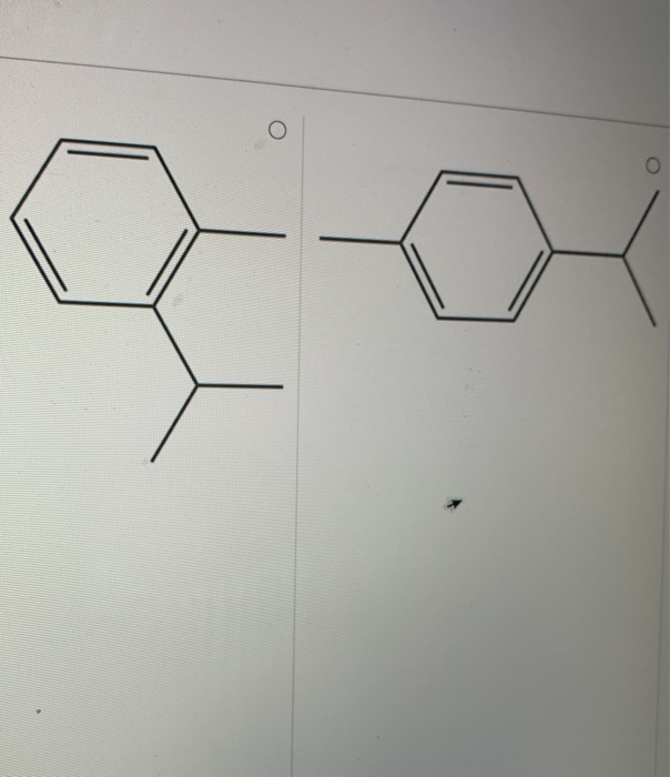Solved 4 pts What is the major monosubstitution product from | Chegg.com