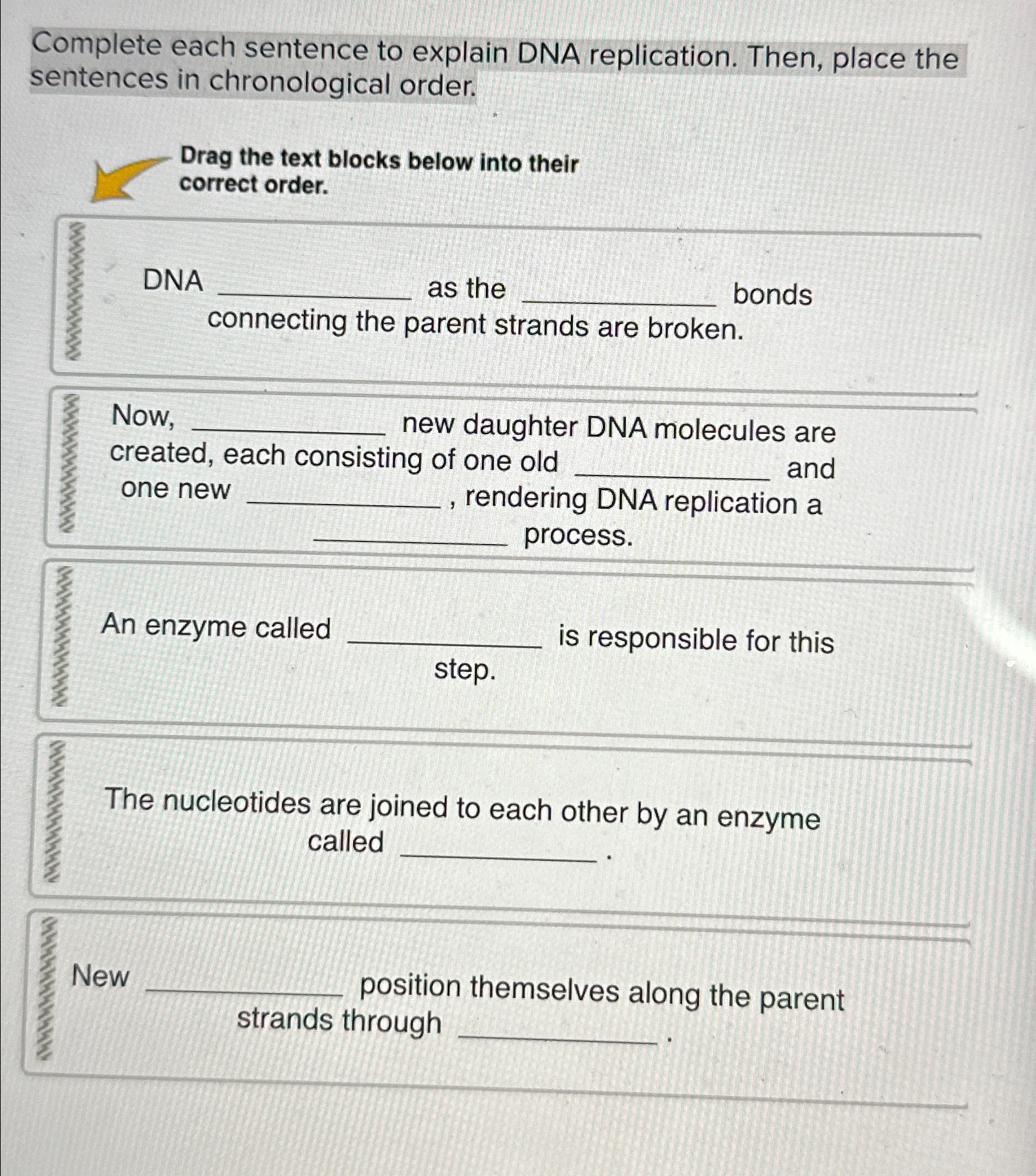 Solved Complete each sentence to explain DNA replication. | Chegg.com