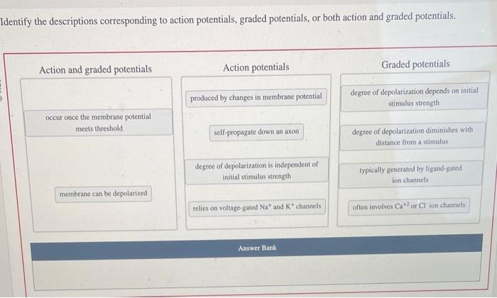 Solved dentify the descriptions corresponding to action | Chegg.com