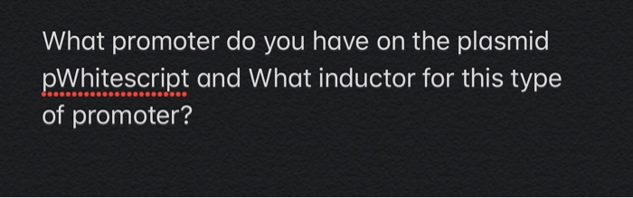 Solved What promoter do you have on the plasmid pWhitescript | Chegg.com