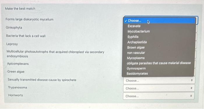 Solved Make the best match Forms large diakaryotic mycelium | Chegg.com