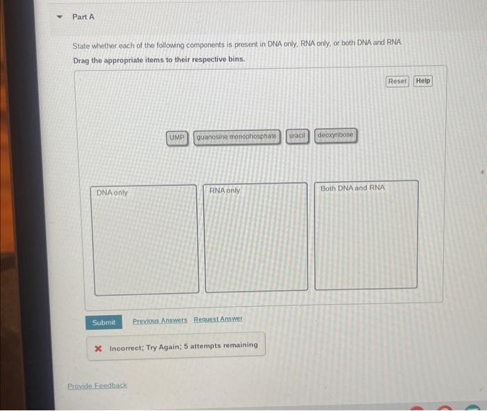 Solved State whether each of the following components is | Chegg.com