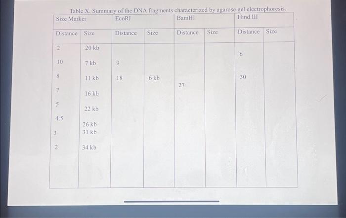 Table X. Summary of the DNA fragments characterized | Chegg.com