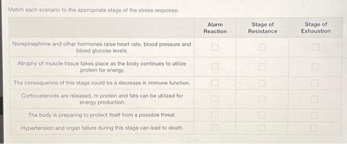 Solved Match each scenario to the appropriate stage of the | Chegg.com